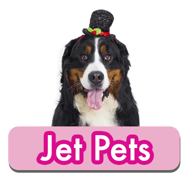 Jet Pets :: Revista Mascotas y Co